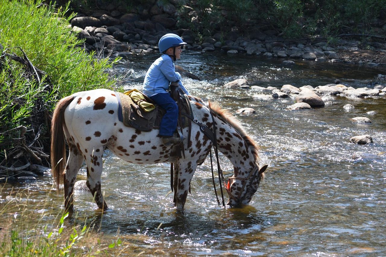 Home - Vee Bar Guest Ranch
